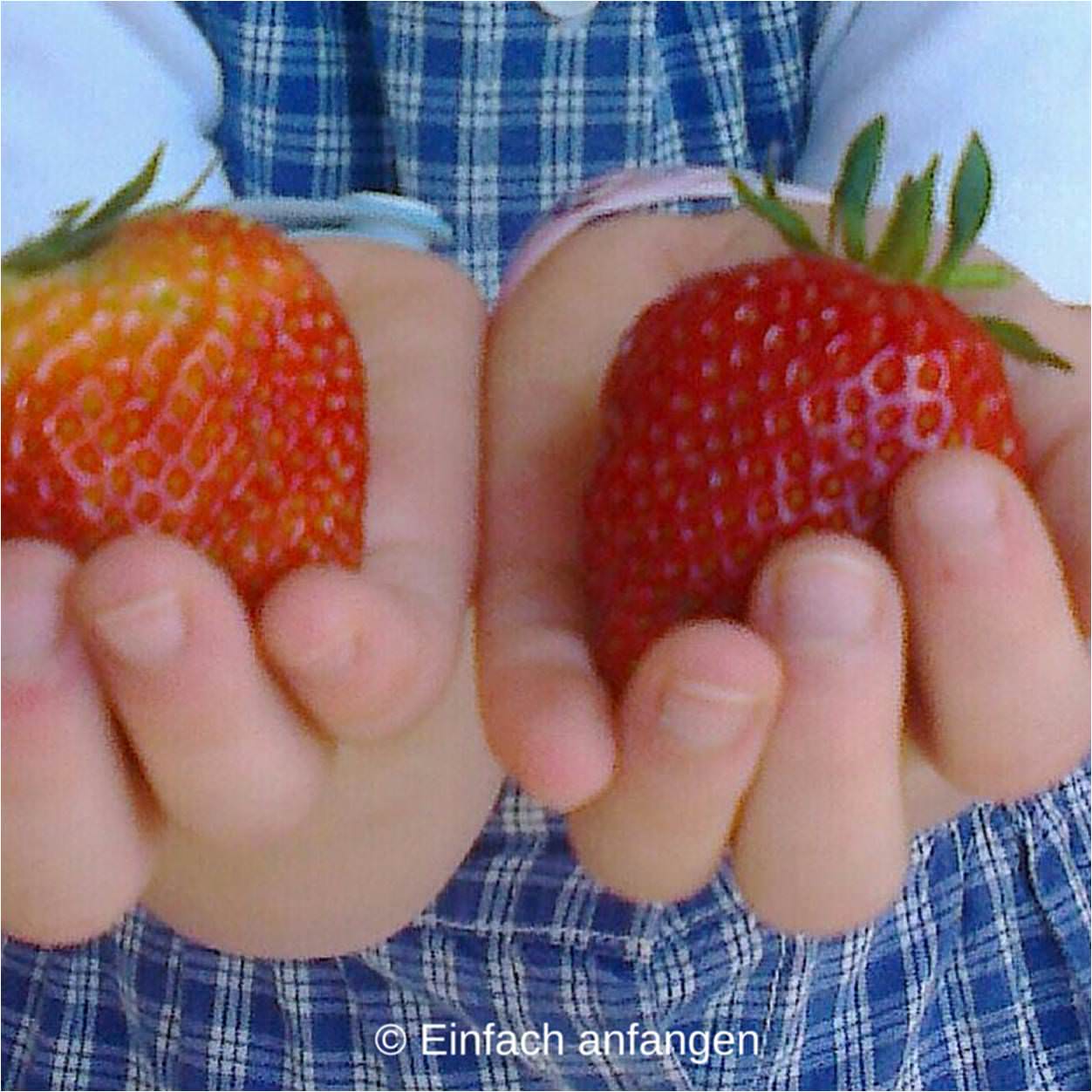 Obst richtig essen? 5 Regeln die du beachten solltest